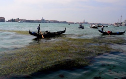 Venice Pollution The Venice Of Africa" Sinks Into The Rubbish